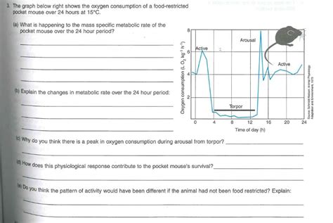 Solved The Graph Below Right Shows The Oxygen Consumption Chegg Com