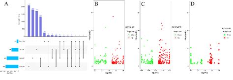 Figure 2 From Integrated Transcriptomic And Metabolomic Analysis Reveals The Regulation