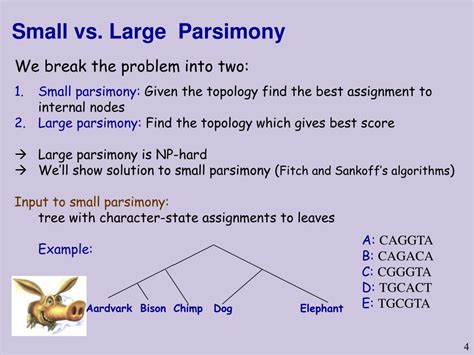 Ppt Phylogenetic Trees Parsimony Tutorial 11 Powerpoint