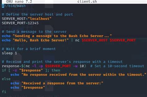 How To Make An Echo Server With Bash GeeksforGeeks