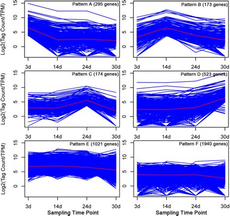 Patterns Of Gene Expression By K Means Cluster Analysis In The Download Scientific Diagram