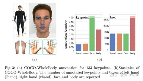 Eccv2020 Coco Wholebody 知乎