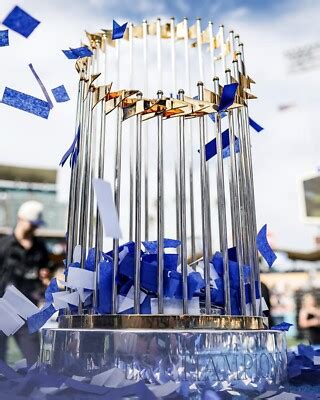 Los Angeles Dodgers 2024 World Series Champions Trophy 8x10 Mlb Baseball Photo Ebay