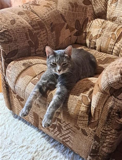 So Cute Position R Aww