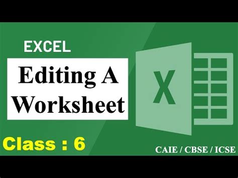 Editing A Worksheet Class Computer CAIE CBSE ICSE Microsoft Excel Excel