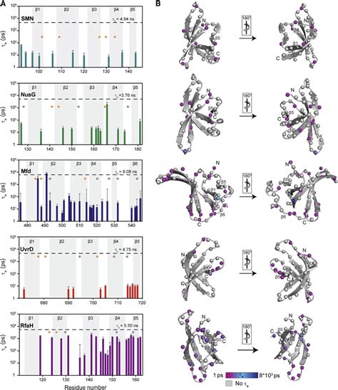Internal Motions T E Faster Than The Rotational Correlation Time T