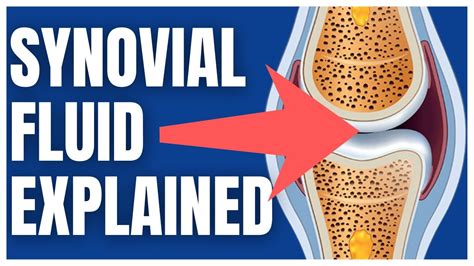 What Is Synovial Fluid Analysis At Russel Bump Blog