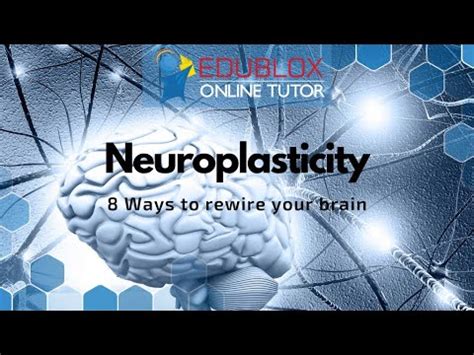 Neuroplasticity 8 Ways To Rewire Your Brain YouTube