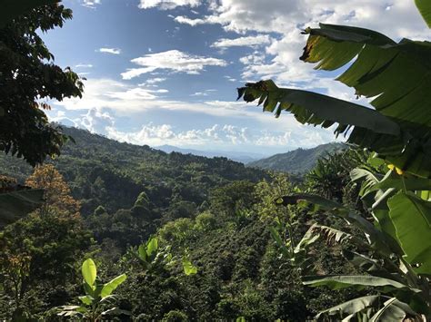 Sara Toth Egetö On Linkedin 👀 Looking For A Senior Node Dev And A Qa