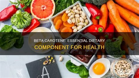 Beta Carotene Essential Dietary Component For Health Shunketo