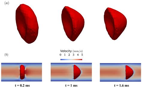 Fluids Free Full Text A Hybrid Continuum Particle Approach For