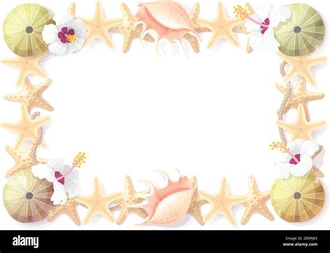 Vector Tropical Seashell Frame Clip Art Geometric Pattern Stock Vector Image And Art Alamy