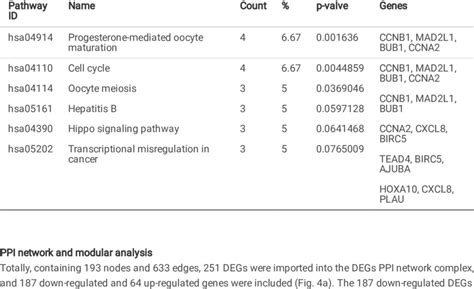 Pathway Enrichment Analysis Of Common Genes Function In Gastric Cancer