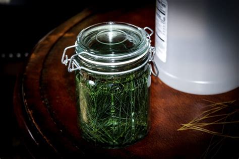 DIY All Natural Pine Cleaning Spray The Outdoor Apothecary