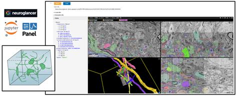 Volumetric Imaging — Examples 010 Documentation