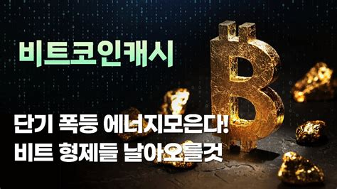 비트코인캐시 Bchㅣ단기 폭등 에너지 모은다 비트 형제들 날아 오를것 Youtube