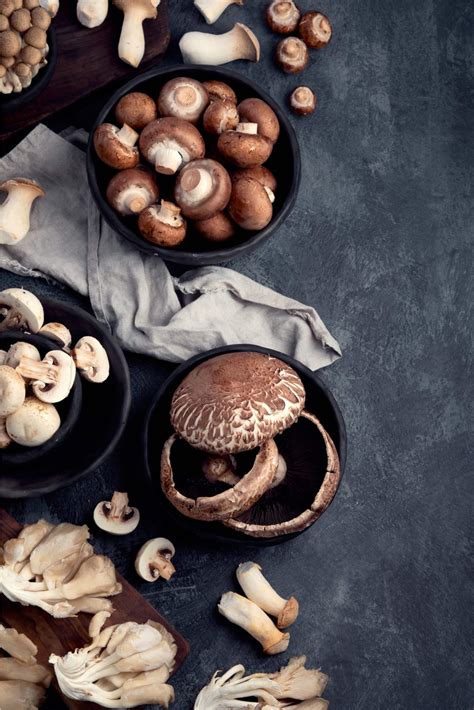 Mushrooms Wallpapers 39 Images Wallpapercat