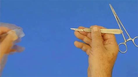 IMPT Bp Blade Handle For Surgery Stainless Steel At Rs 75 Piece In Bengaluru