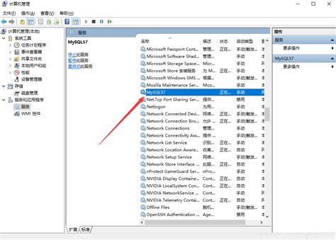 navicat premium连接数据库出现 2003 can t connect to mysql server on localhost