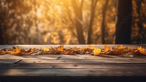 가을 숲 낙엽 목재 보드 광고 배경 가을 자연 자연을 배경 일러스트 및 사진 무료 다운로드 Pngtree