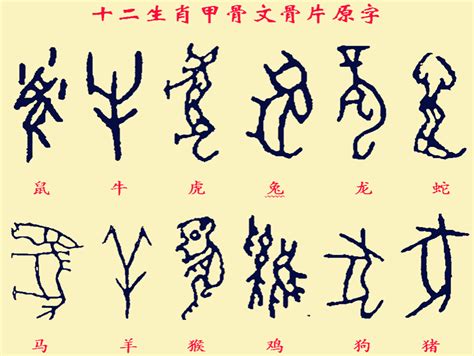2024 023 有趣的甲骨文 乐山师范学院语言文字网