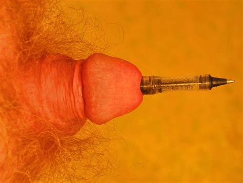 Stick It In Porn Pictures Xxx Photos Sex Images 1055303 Pictoa