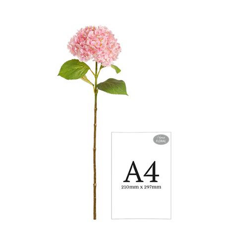 Hydrangea Stem Pink 19cm Head 66cm Stem Eleganzafloral