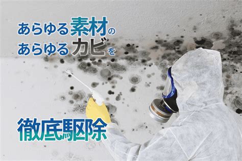 部屋がカビだらけ！今すぐ実践できるカビ対策と予防方法 カビ予防やカビ除去にまつわるコラムをスタッフが執筆 カビ取り・カビ対策なら素材を