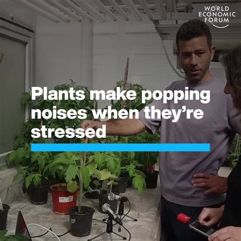 Amit Singh Posted On Linkedin