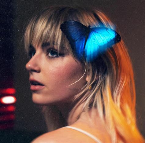 Sody Butterfly Lyrics Genius Lyrics