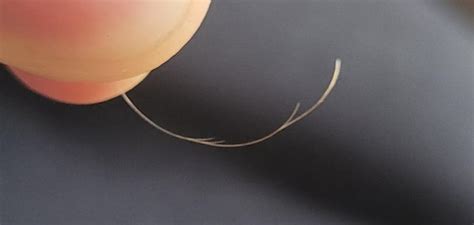 Nice Little Split Rsplitends