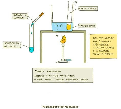 Food Tests Biology For Gcseigcse Class 10 Pdf Download