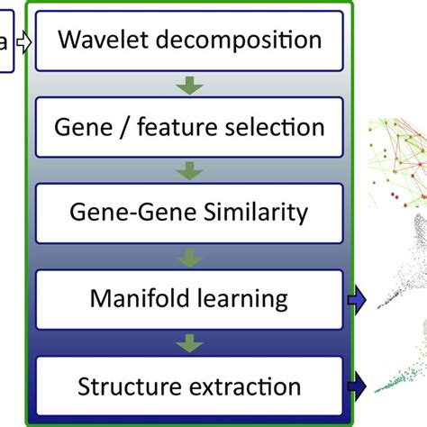 Clusters For The Yeast Metabolic Cycle Ymc Dataset 9334g 36 Time