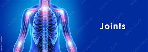 Joints Stock Illustration Adobe Stock