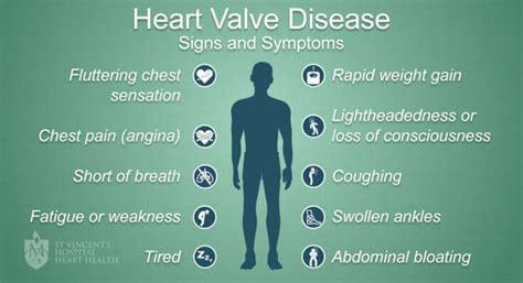 Heart Valve Disease Symptoms And Causes