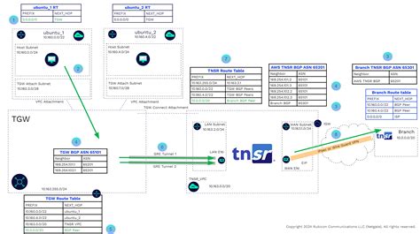 Tnsr High Performance Router And Vpn Concentrator In Aws With Transit Gateway
