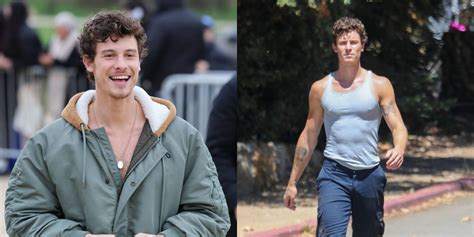 8 Portraits Of Shawn Mendes Announcing Return To Stage After Canceling