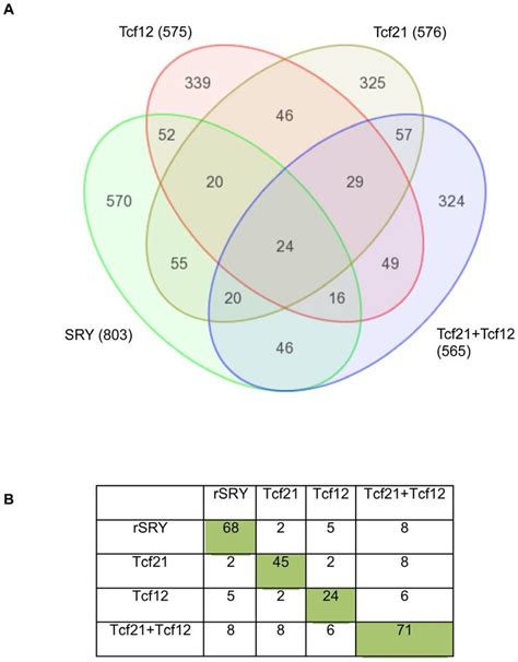 Transcriptome Analysis Of Sry And Tcf21 Actions Venn Diagram A With