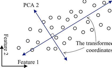 a simple 2d visualization of the principal component analysis