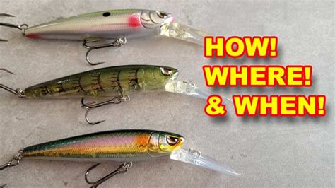 Top 5 Baits For Early Spring Bass Fishing How To Fish Them Video