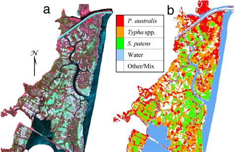 A July 20 2004 Quickbird 4 2 1 Image B Classification Result