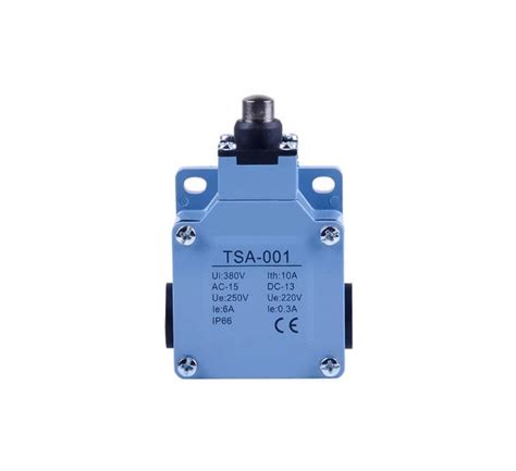 China High Temperature Plunger Travel Limit Switch ပေးသွင်းသူများ၊ ထုတ