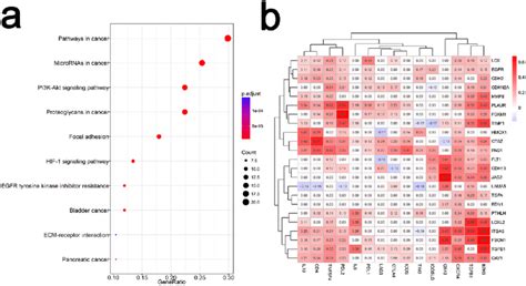 Emt Signature Correlated Pathways And Immune Checkpoint Molecules A Download Scientific