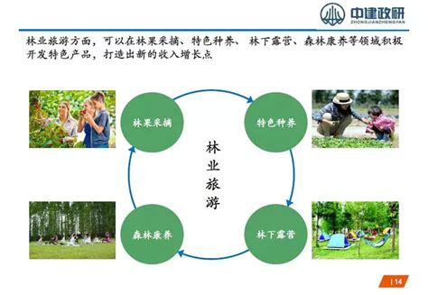 中建政研智库报告 国家储备林项目ppp模式初步探讨 知乎