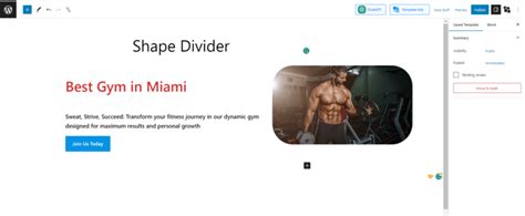 WordPress Shape Divider Master The Art Of Separating Sections WPXPO