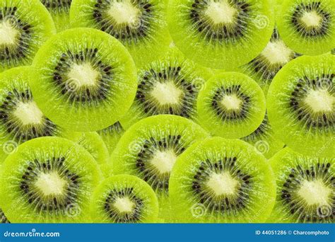 Kiwi Texture Stock Image 8101249