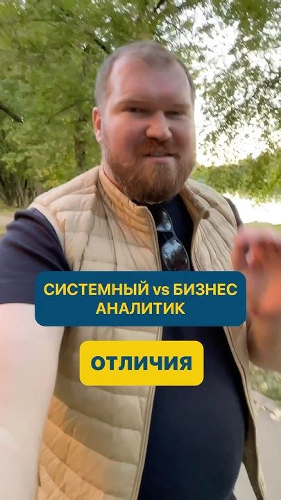Перестань делать работу за друго Чем отличается системный аналитик и бизнес аналитик за 10