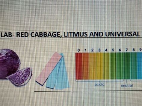 PH Lab Investigation Teaching Resources