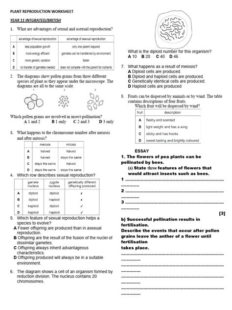 Human Reproduction Worksheet Igcse Past Papers Pdf Sexual