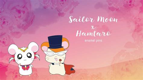 A Must Have For All Saliormoon Fans And Hamtaro Fans Enamelpin